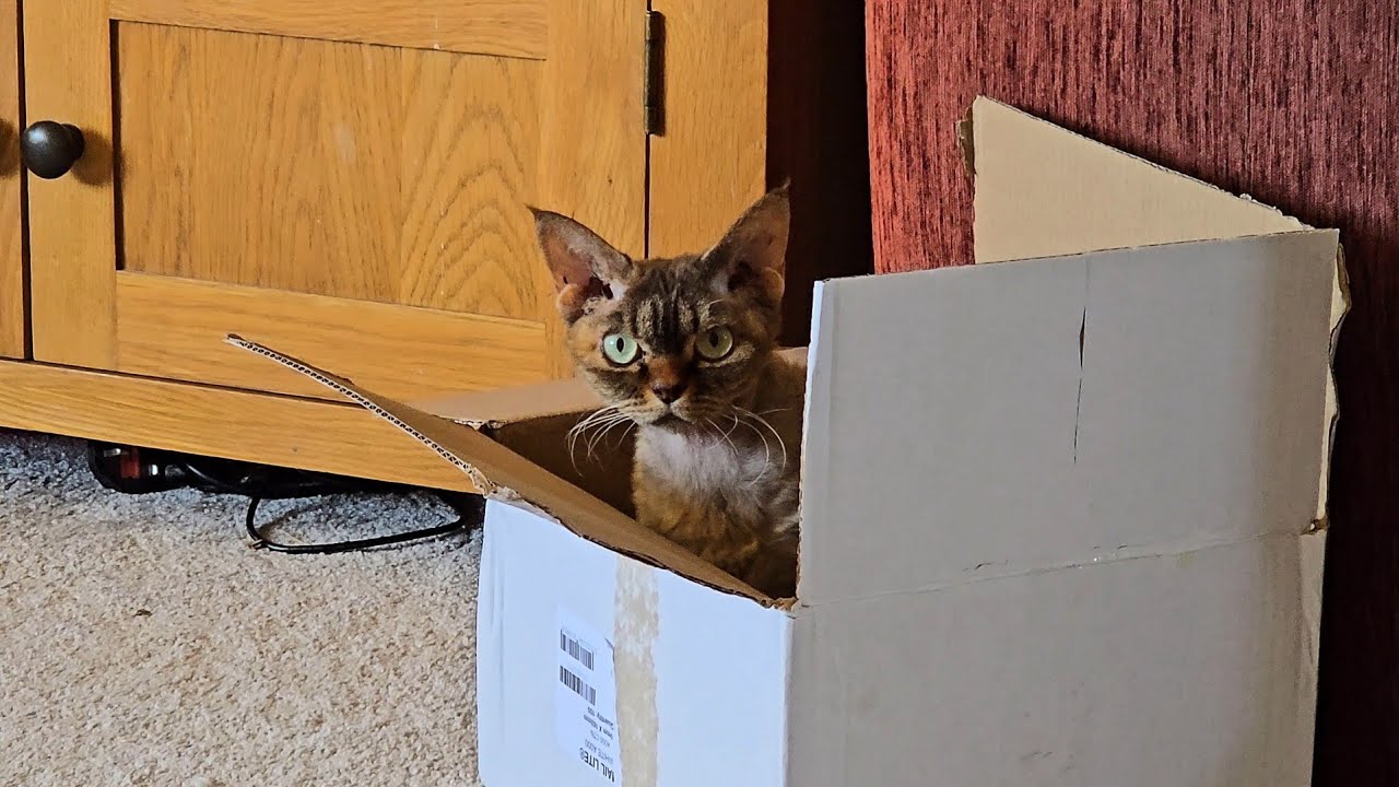 What's Mimi Up To ? - YouTube
