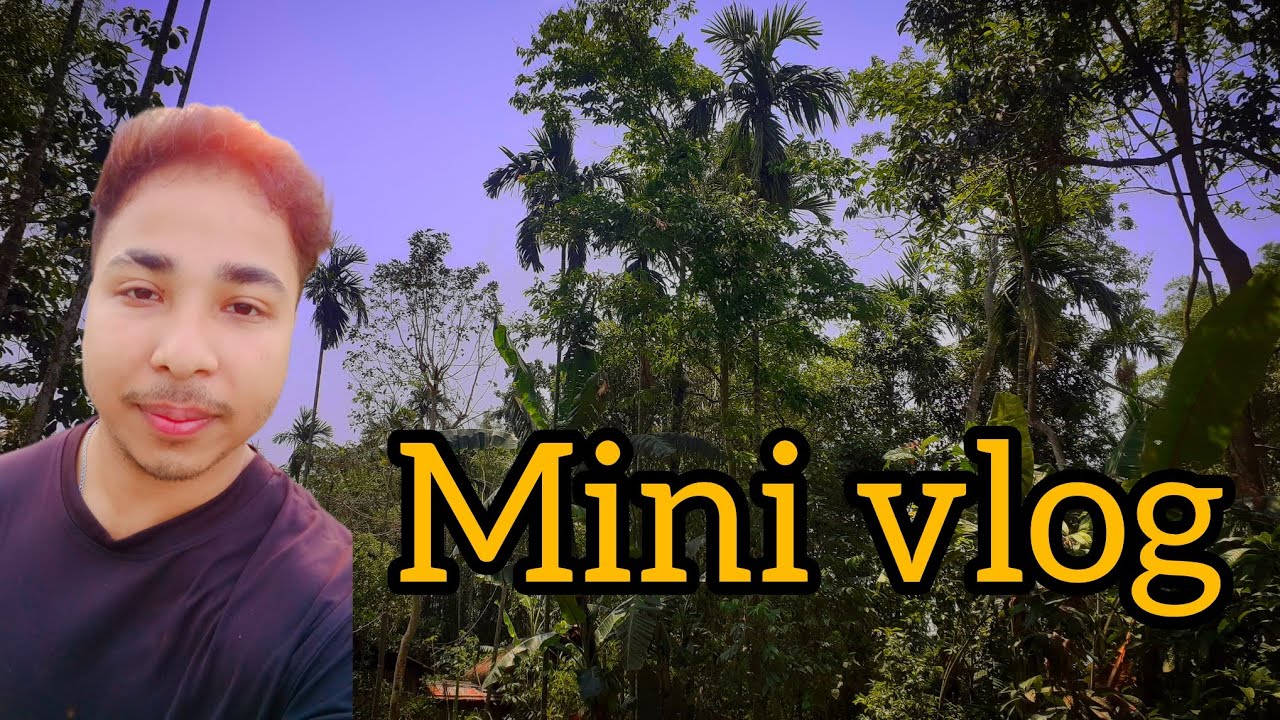 My First Mini Vlog || My First Video On youtube Mini Vlog ||♥️ - YouTube