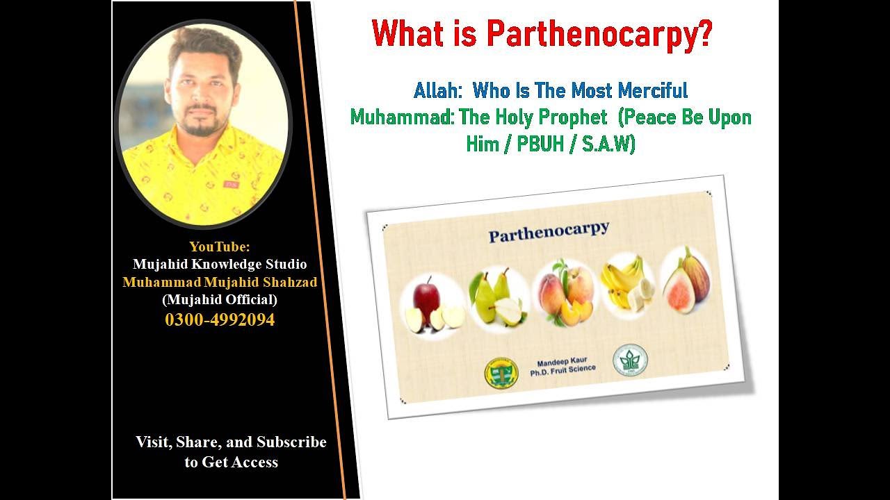 What is Parthenocarpy? Importance/Benefits/Role of Parthenocarpy FSC ...