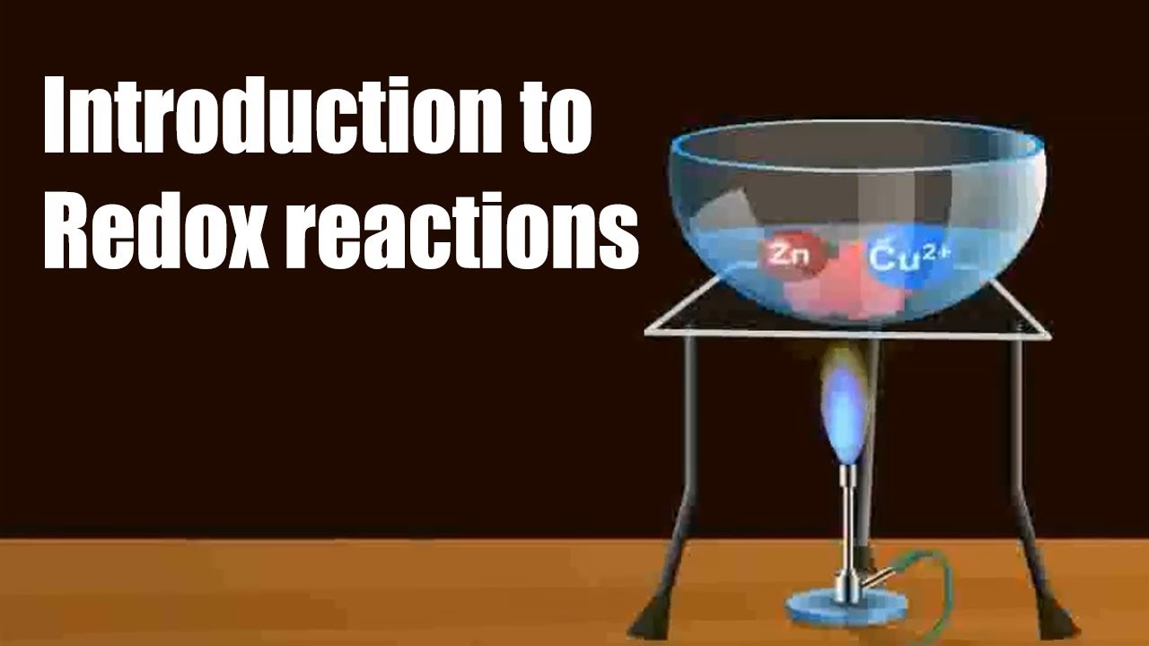 Introduction to Redox reactions | 11th Std | Chemistry | Science | CBSE ...