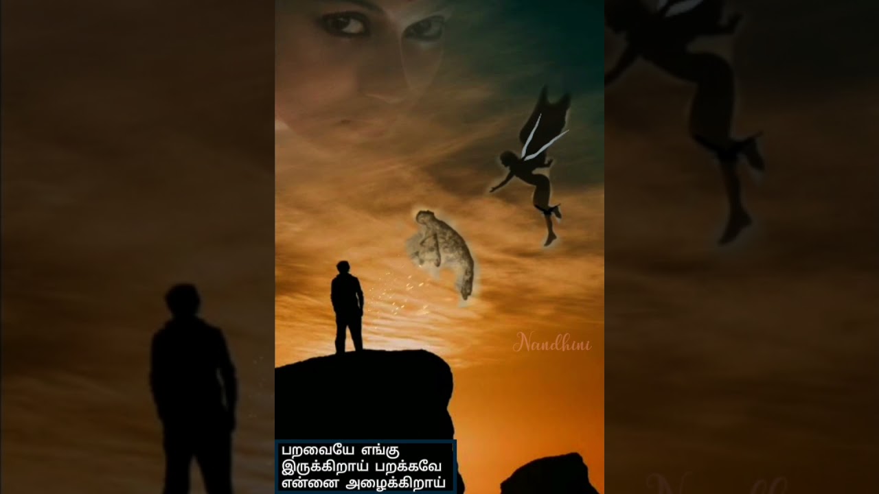 #Paravaiye Engu Irukkiraai Song Lyrics #Kattradhu Thamizh # Yuvan ...