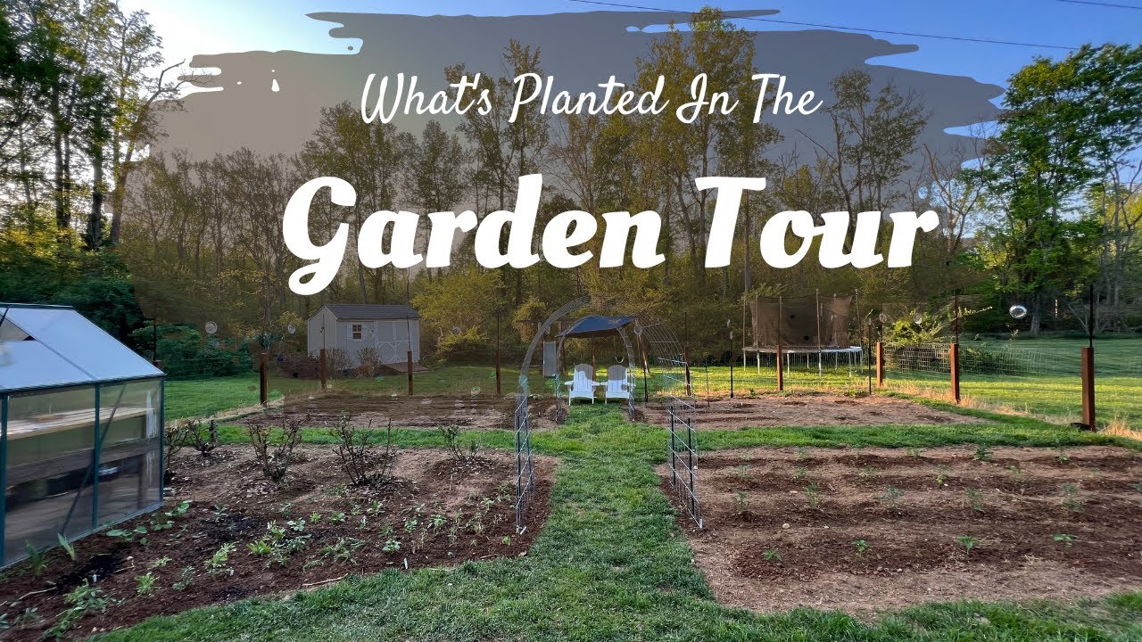 Garden Tour: Let's Take A Walk Around The Garden To See What Is Planted ...