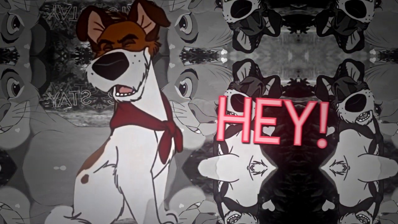 Simba & Dodger- Friends - YouTube