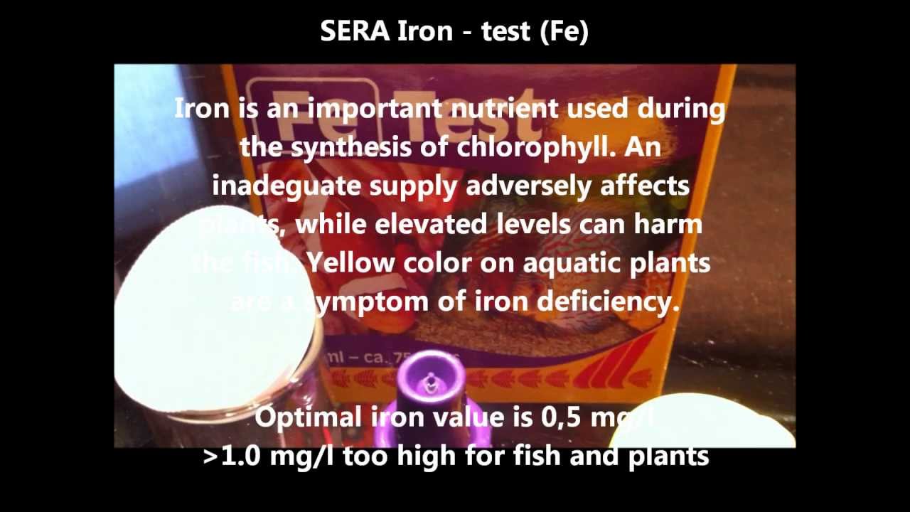 TEST Fe SERA IRON - HOW TO - YouTube