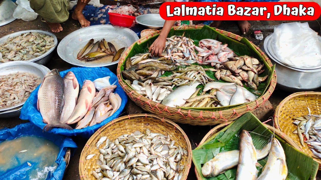 Lalmatia Fish Market at Dhaka - YouTube
