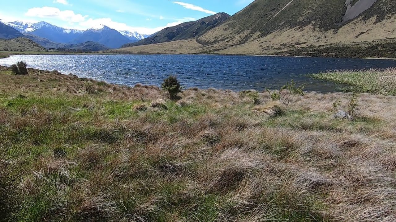 Fly fishing New Zealand - Lake Sarah - YouTube