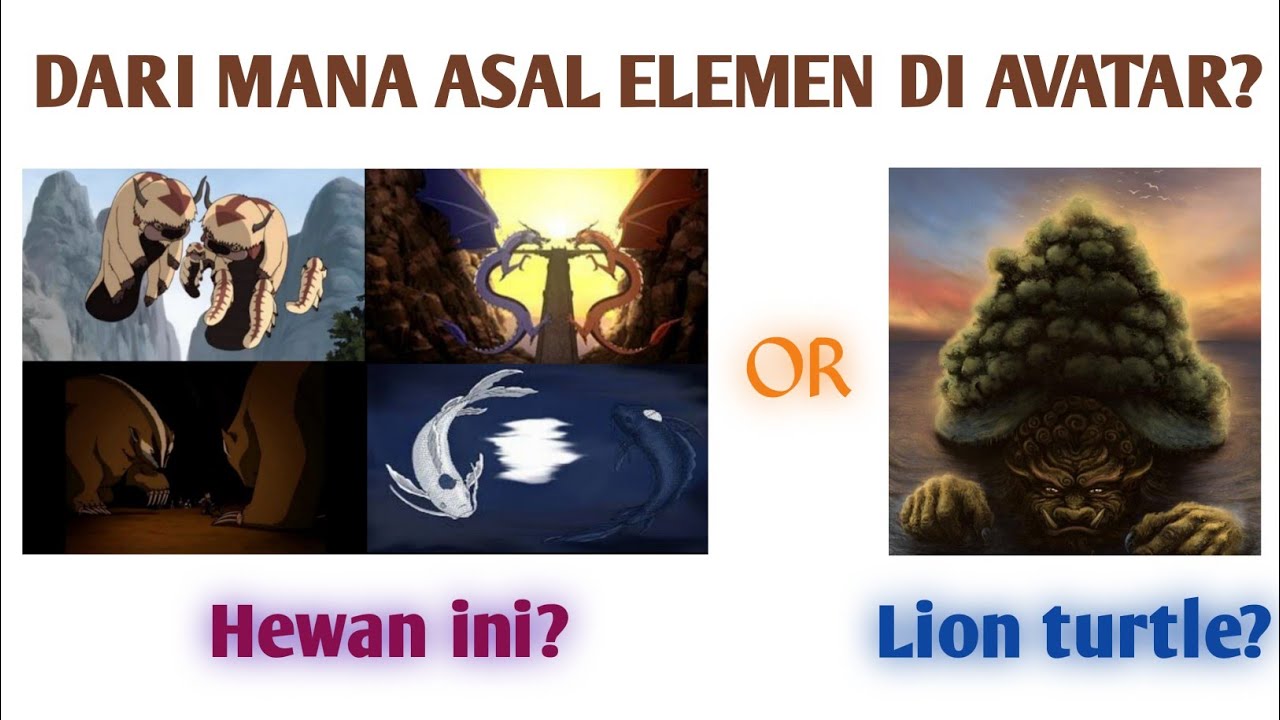 Asal-usul Elemen di Avatar, Dari Hewan Purba atau Lion Turtle? - YouTube