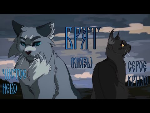 ЗАКАЗ Коты Воители Чистое Небо и Серое Крыло: Брат [Князь] - YouTube