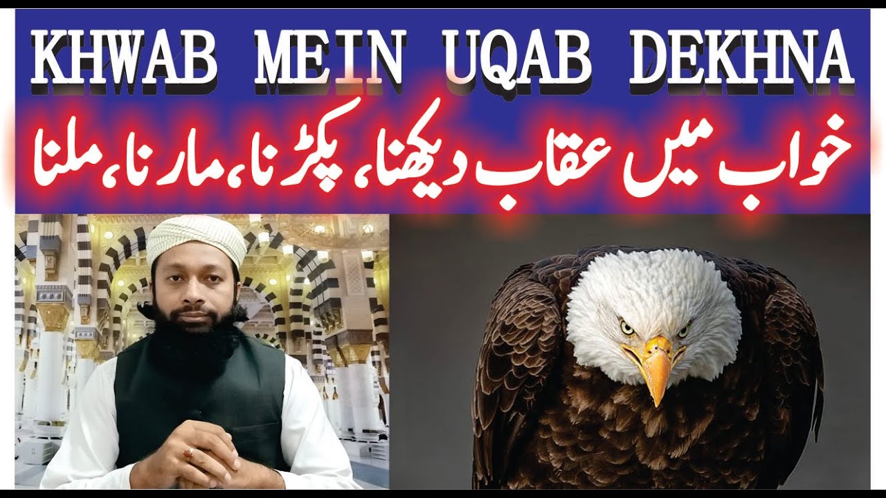 Khwab Mein Uqab Dekhna Ki Tabeer | خواب میں عقاب دیکھنا | Eagle In ...