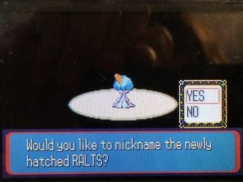 (FLoYT) (WSHC#11) Live Shiny Ralts hatches gen 3! 1500 eggs (500 special)