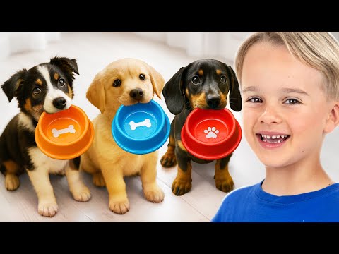 Çocuklar Barınakta Hayvanlarla İlgileniyor