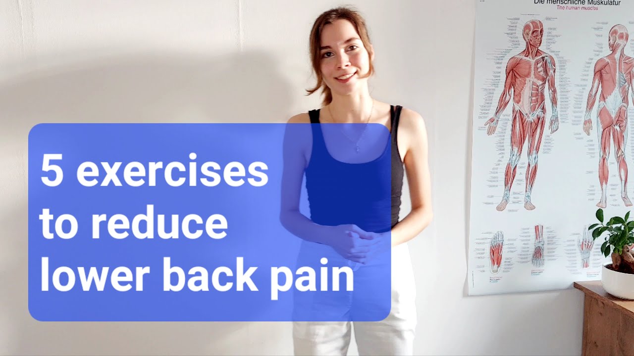 5 exercises to reduce lower back pain - YouTube
