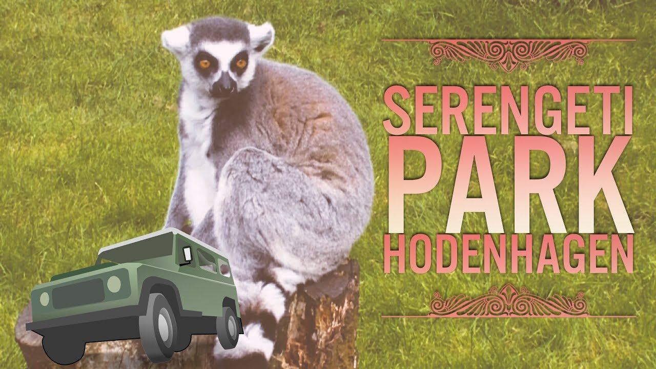 Review Best of SERENGETI PARK HODENHAGEN - SAFARI IN Germany ...