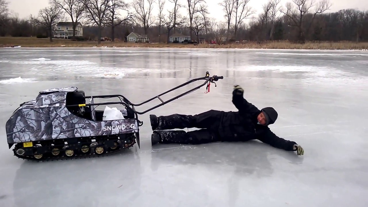 Dog Ice Fishing Gear at Rose Holeman blog