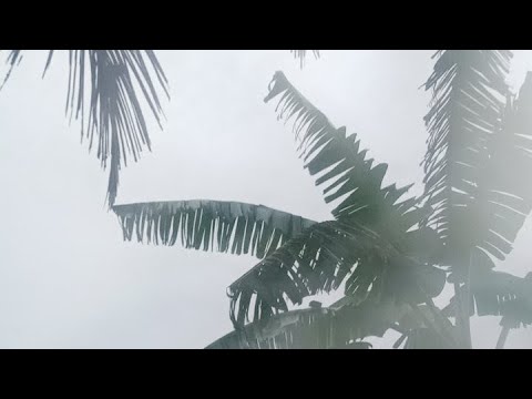 Basic 360 is live! - YouTube