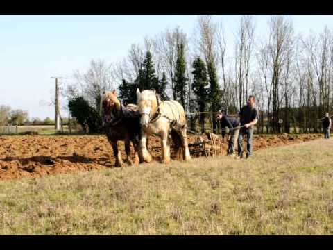 Journée labour par traction animale en Vals de Gartempe et Creuse - YouTube