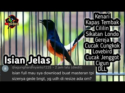 MASTERAN MURAI BATU FULL ISIAN TEMBAKAN MEWAH JELAS MUDAH DI TIRU