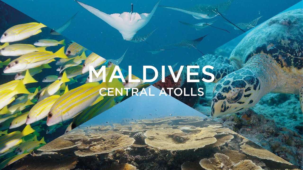 Maldives - Central Atolls 4K - YouTube