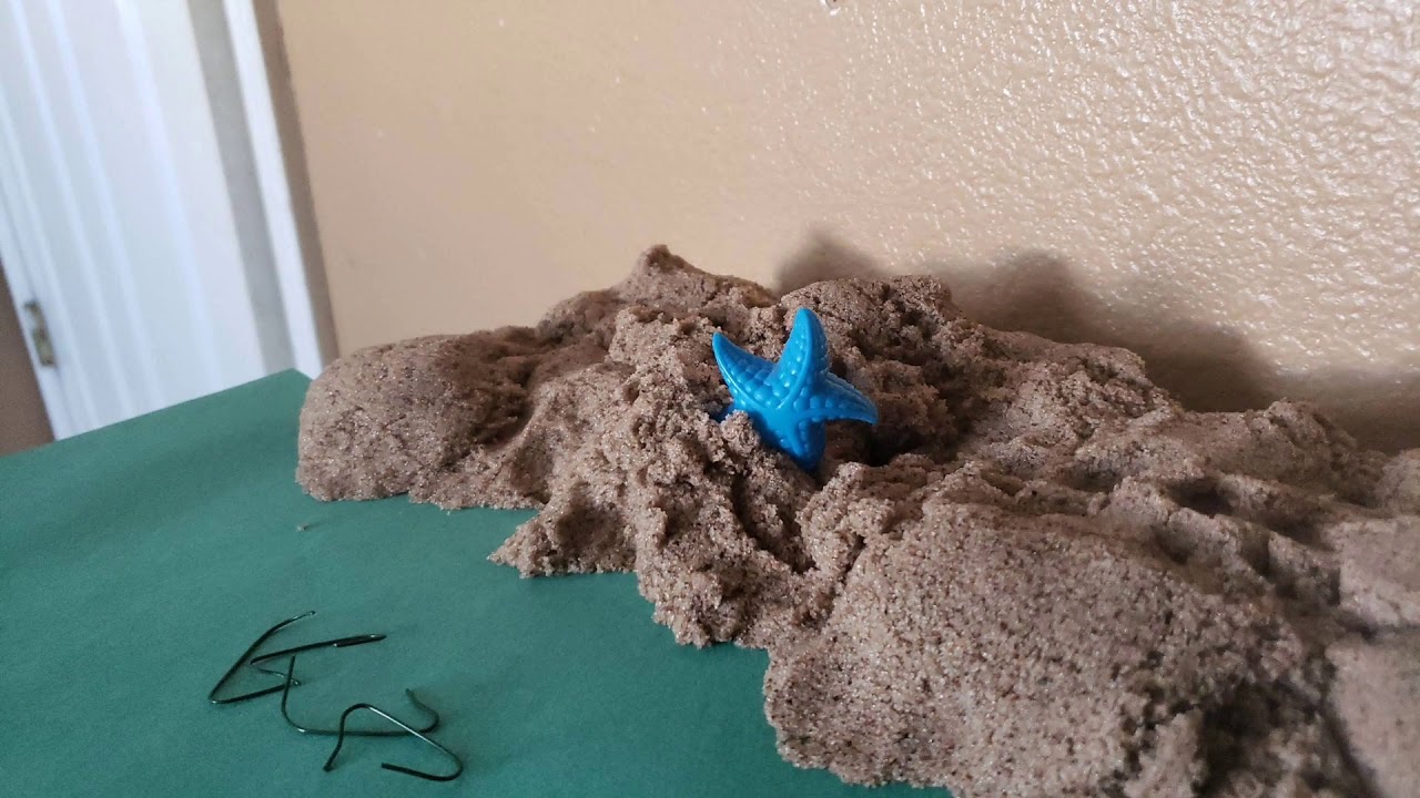 turtle sinking in sand part 2 - YouTube