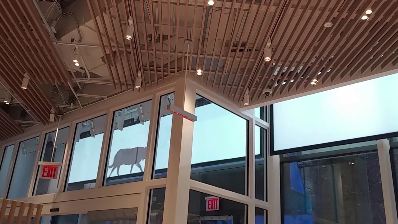 Custom Projection Screen Mount and 10 Projector Mount System - YouTube