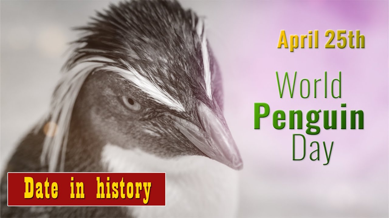 World Penguin Day. Date in history! Important date! Conservation! April ...