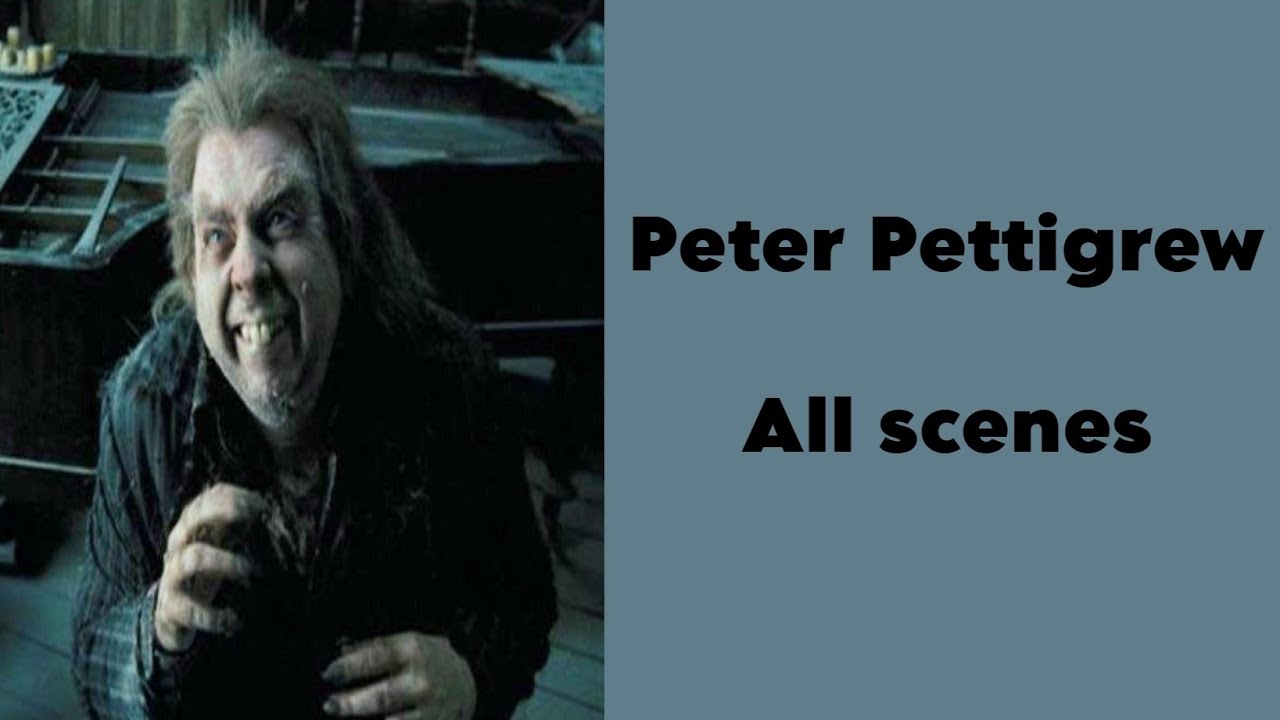 Peter Pettigrew (Wormtail) scenes - YouTube