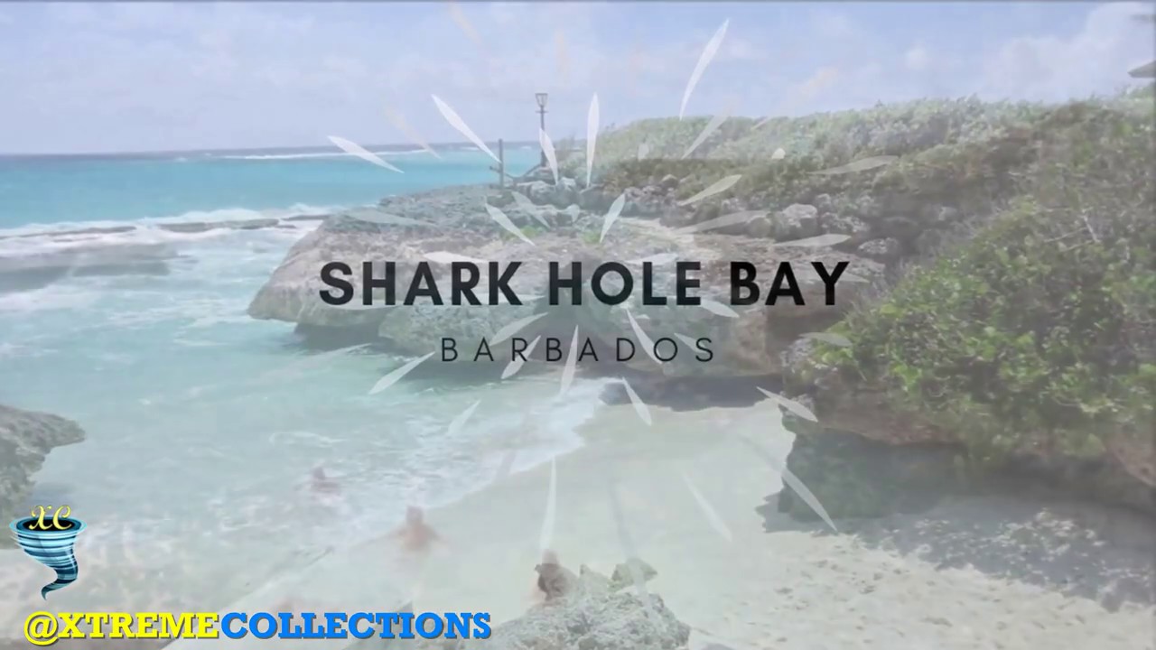 Shark hole in Barbados - YouTube