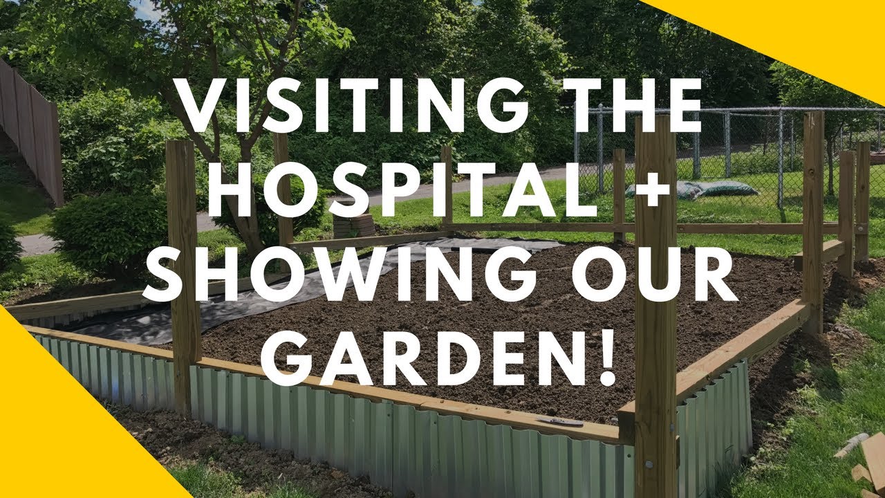 Visiting the Hospital + Showing Our Garden! - YouTube