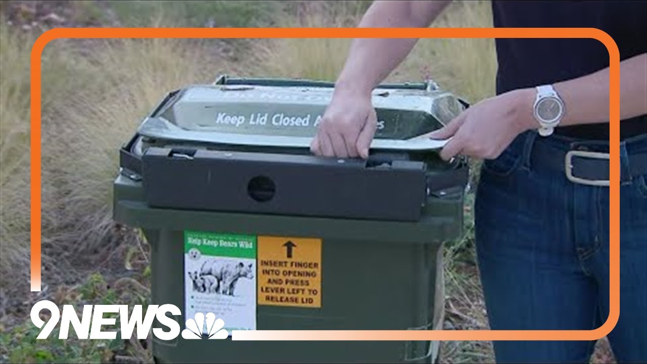 How to stay bear aware heading into fall - YouTube