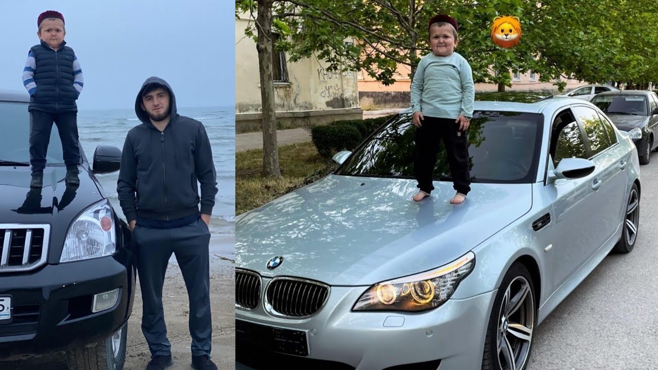 Hasbulla Magomedov car collection - YouTube