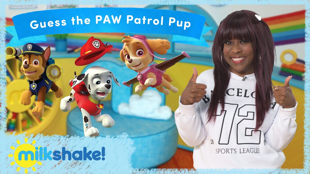 Milkshake! Studio Games | Guess the PAW Patrol Character | Kemi - YouTube