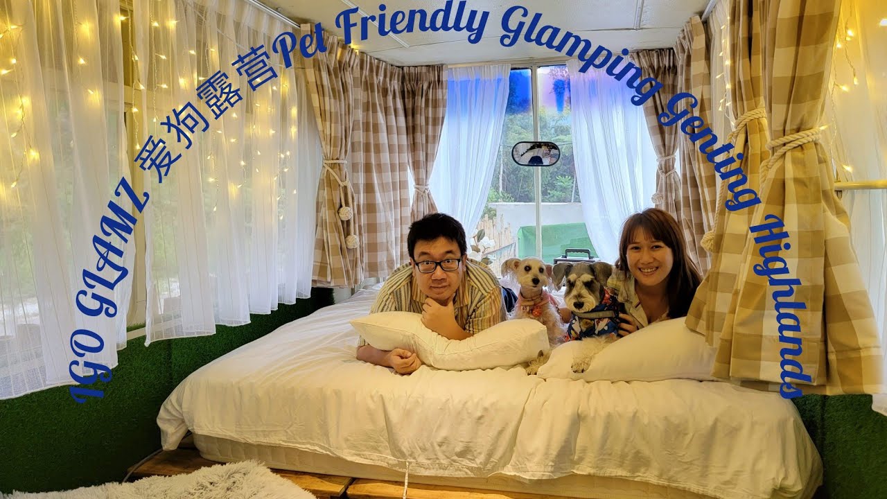 ️马来西亚带上毛孩旅行 ️ Mar 2023 豪华露营云顶山脚的 IGo glamz 爱狗露营，云顶打卡，清水岩庙，Leng's Cafe ...