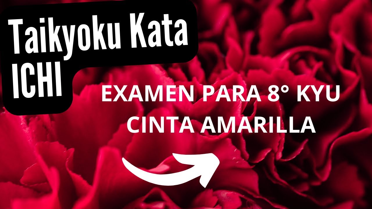 TAIKYOKU KATA ICHI PARA EXAMEN DE 8° KYU CINTA AMARILLA - YouTube