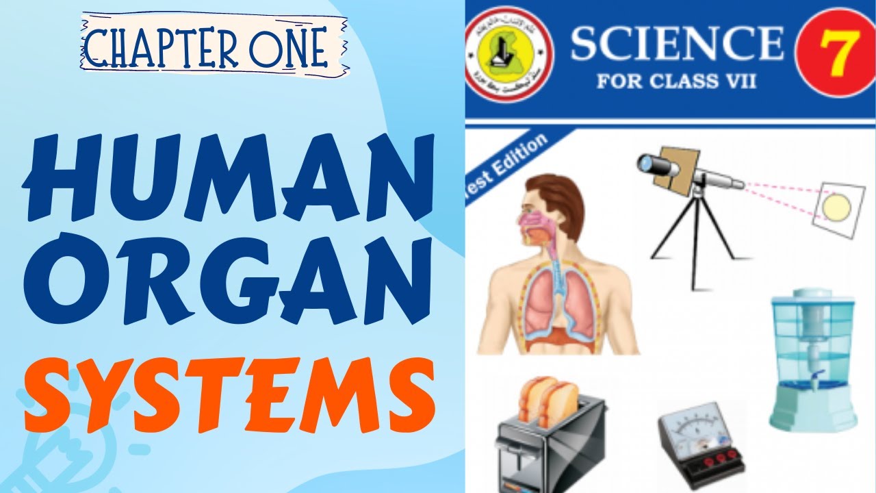 Chapter:1 HUMAN ORGAN SYSTEMS (Sindh Text Board Book) - YouTube