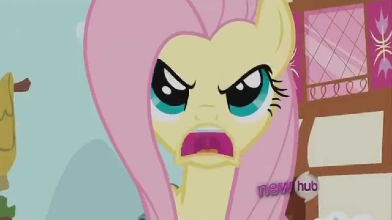 Reaction to New Fluttershy in "Putting Your Hoof Down" - YouTube