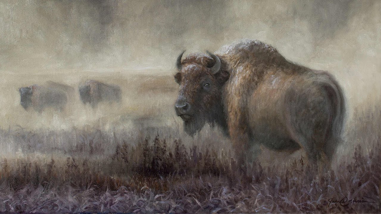 "The Sentinel" - Painting a Yellowstone Bison - YouTube