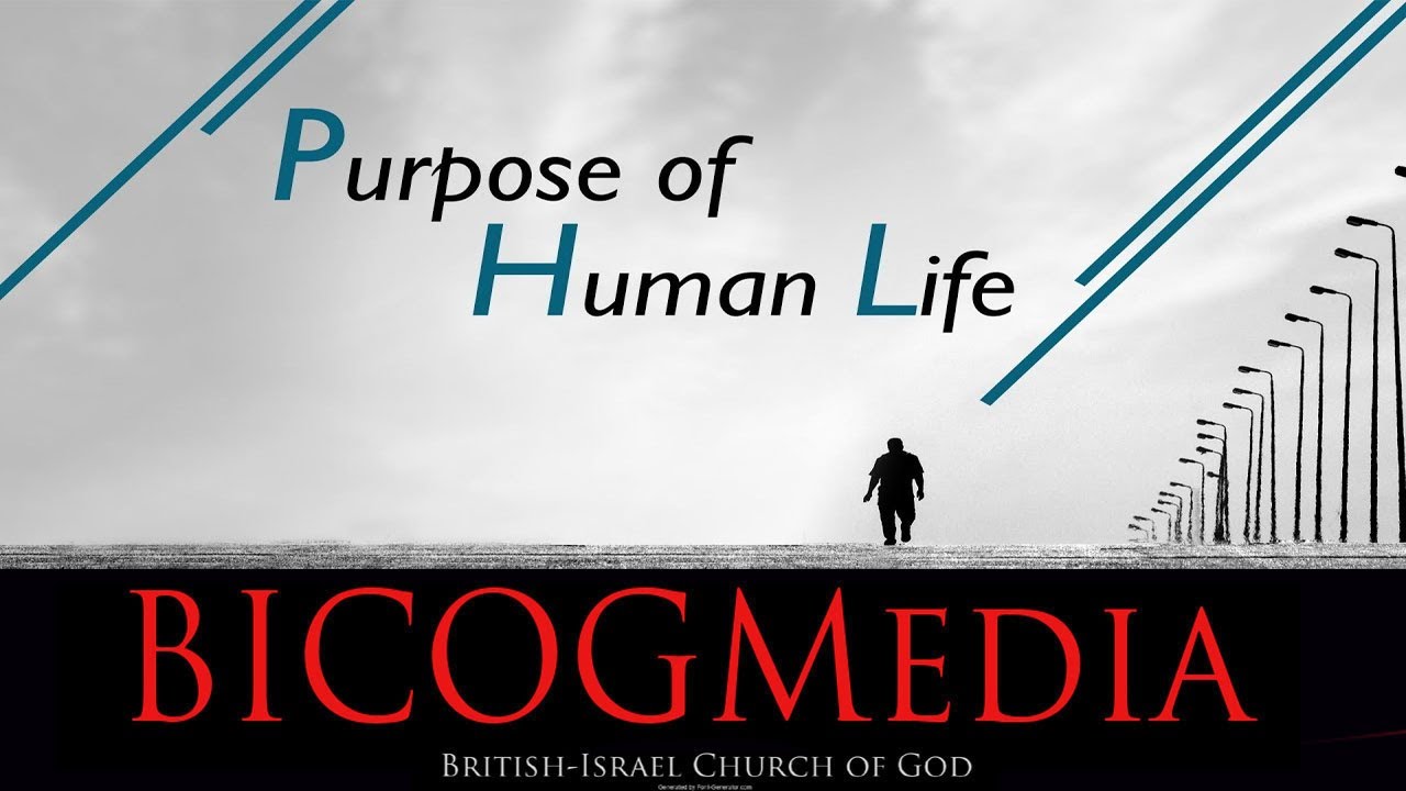 The Watchman Program What Is The Purpose Of Human Life YouTube the-watchman-program-what-is-the-purpose-of-human-life-youtube