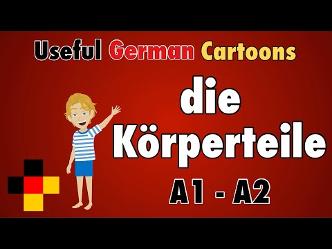 Learn Useful German: die Körperteile - the body parts in German ...