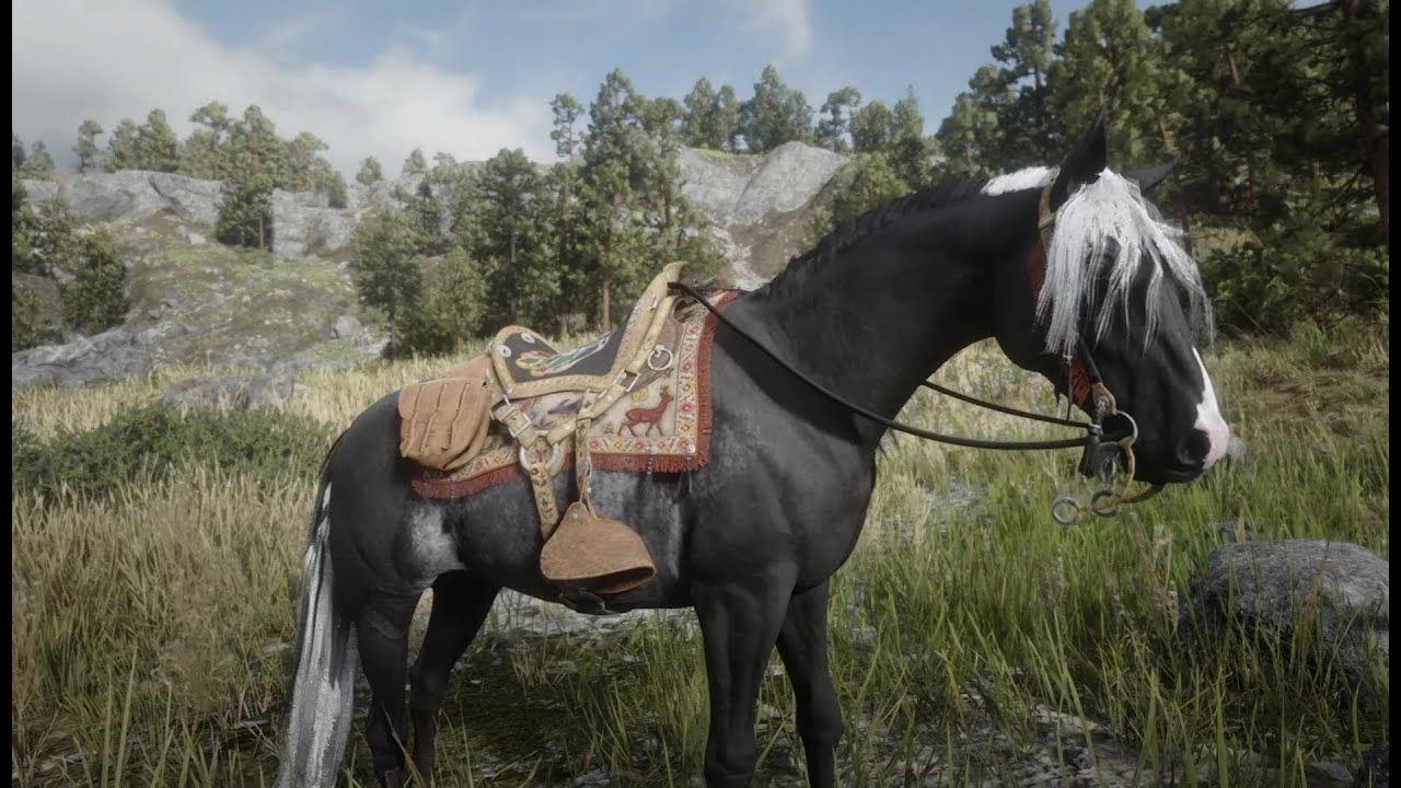 Red Dead Online Tennessee Walker: Black Rabicano - YouTube