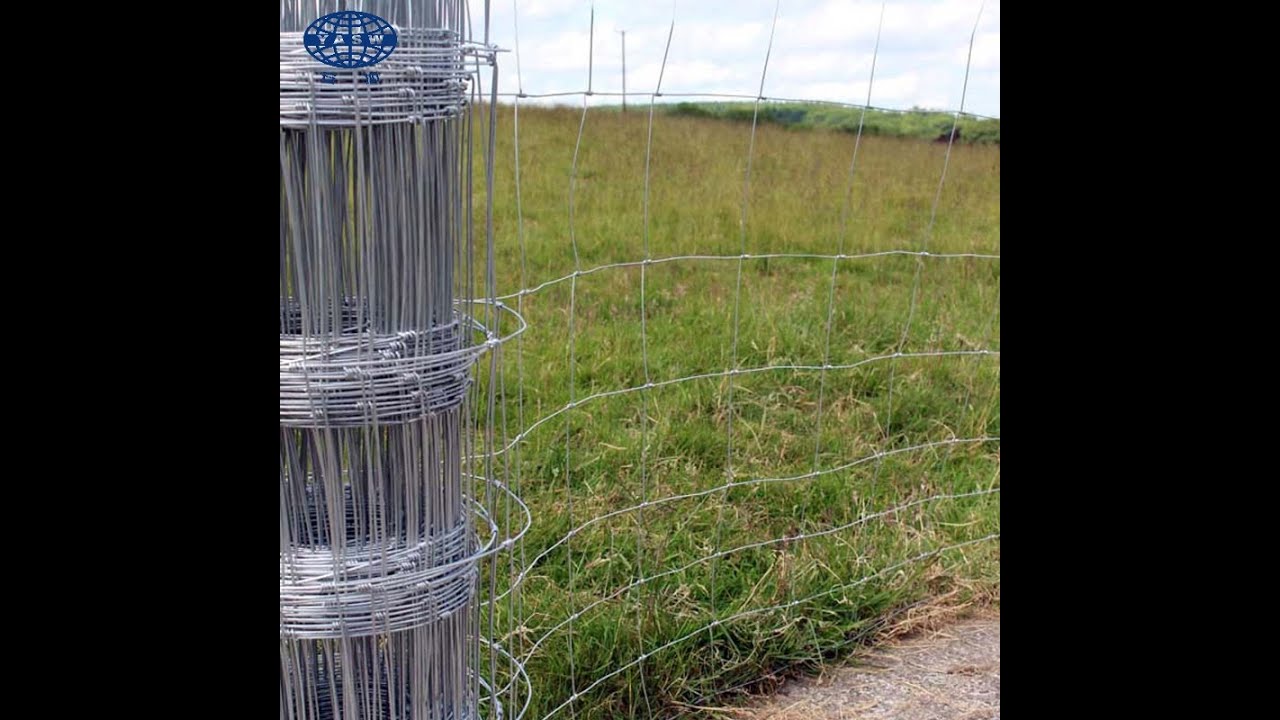 wire cattle fence/game fence/farm fence/field fence - YouTube