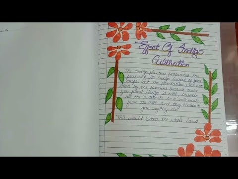 Indigo project work| Art Integrated project work |CBSE English |class ...