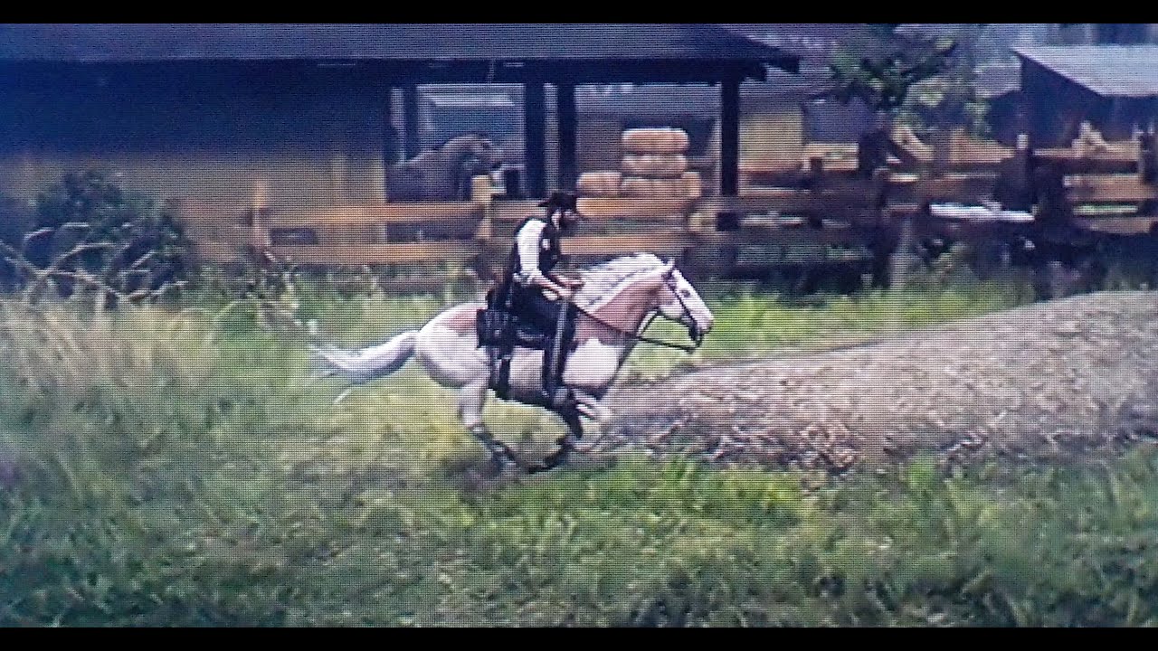 Red Dead Redemption 2 Eagle Flies Horse vs The Count And Saving A Lady ...