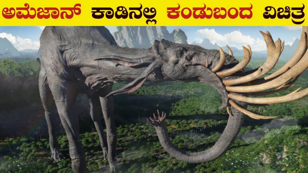 Amazon Rainforest Mystery Explained In Kannada | Dangerous Creatures of ...