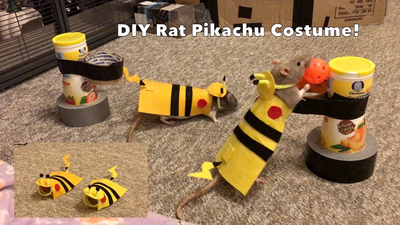 Making a DIY Pikachu Costume for my Rats! - YouTube