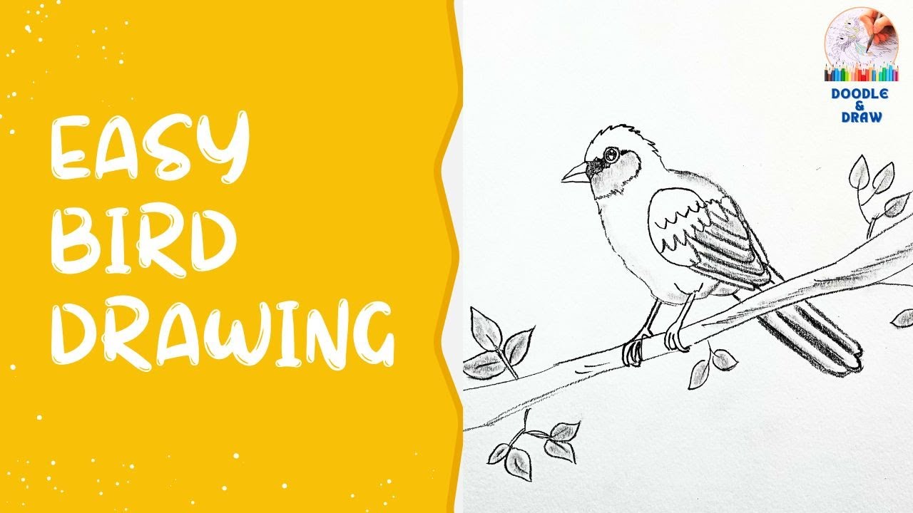 How to Draw an Easy Bird| Step-by-Step Bird Drawing Tutorial # ...