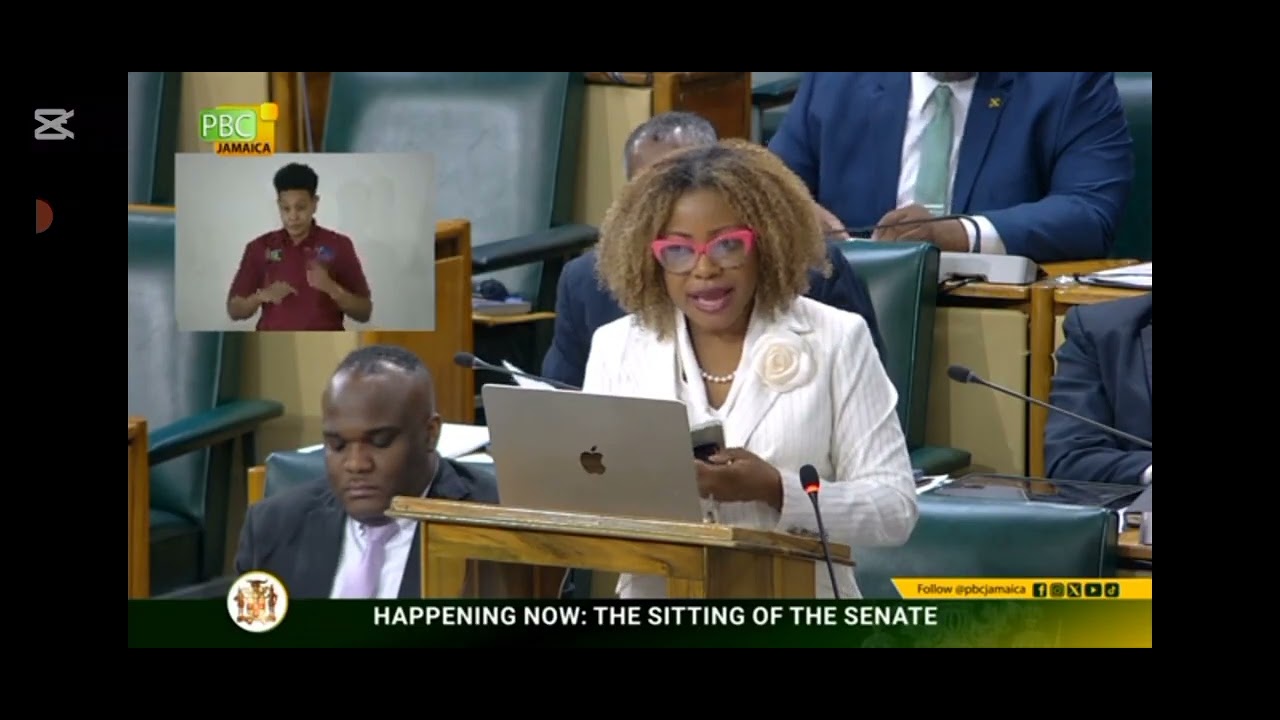 Sen.Dana Morris Dixon & Sen Lambert Brown | SITTING of Senate jan 23 ...