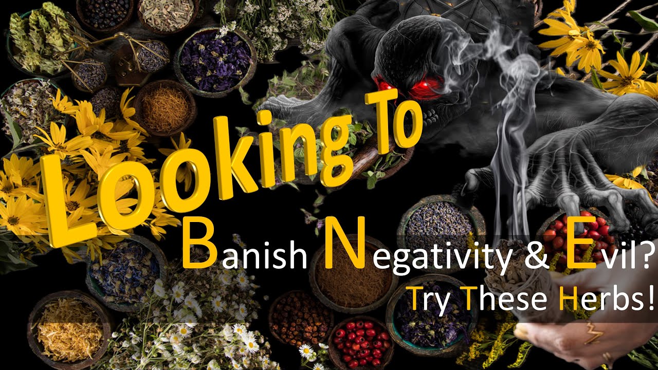 Banishing Negativity & Evil with Herbs | The Ancient Art of Herbalism ...