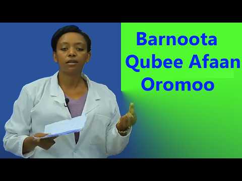 OBS- Barnoota Qubee Afaan Oromoo Kutaa 1ffaa