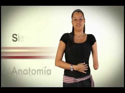 Sien - YouTube