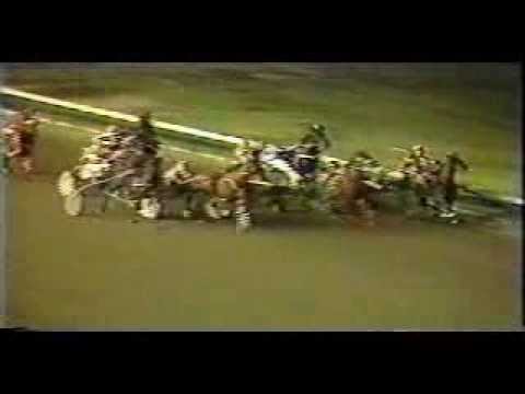 Harness Horse Racing accident from Los Alamitos California - YouTube